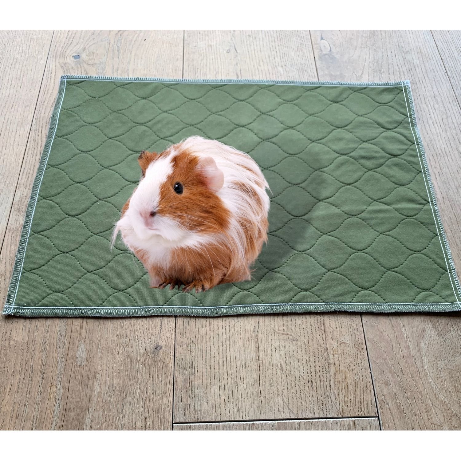 Millie Mats Guinea Pig Small Mats 2 Pack Washable Puppy Pads Pet Millie Mats Guinea Pig Small Mats 2 Pack Washable Puppy Pads Pet